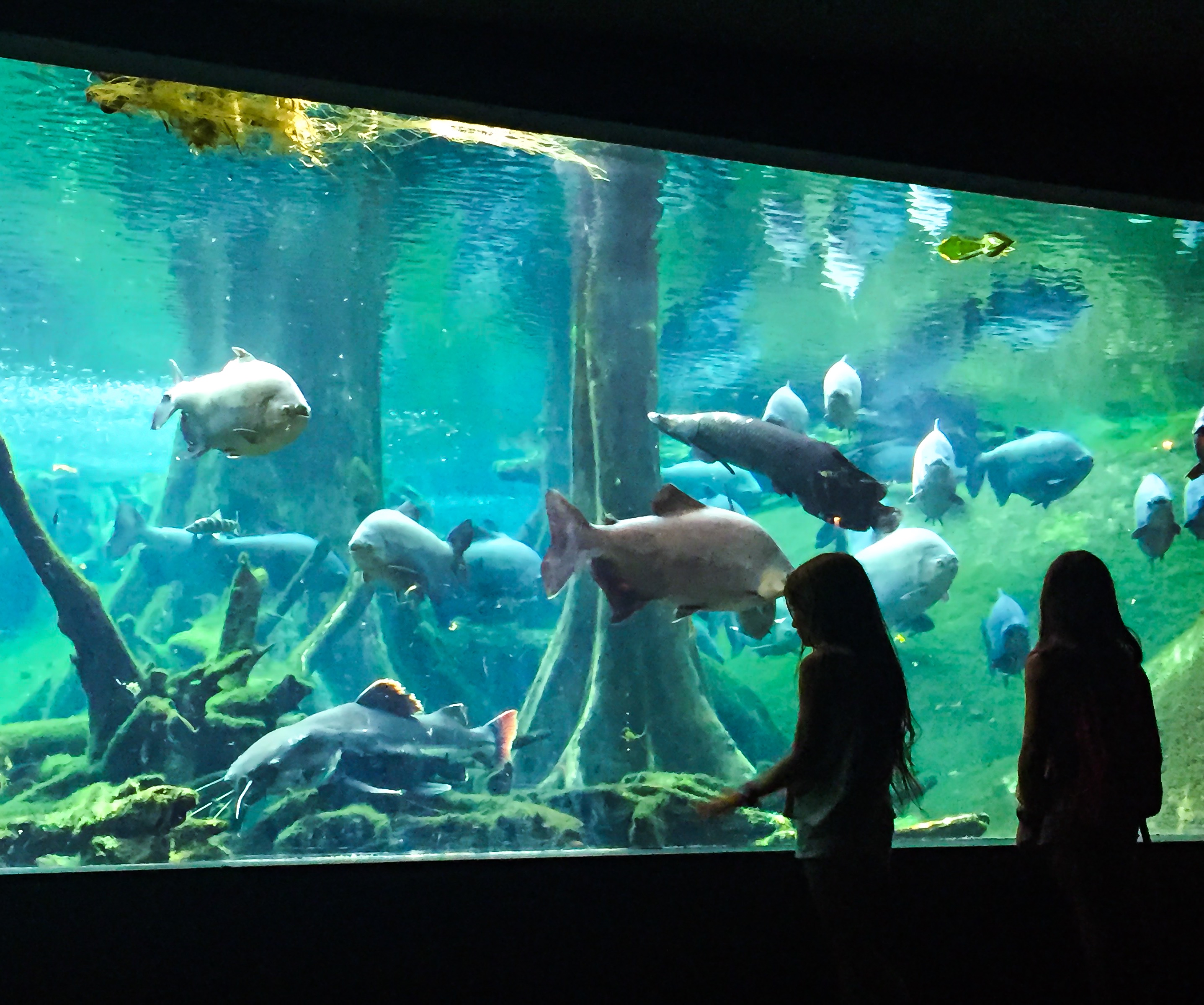 CosmoCaixa un musée pour scientifiques en herbe - Famille Barcelone